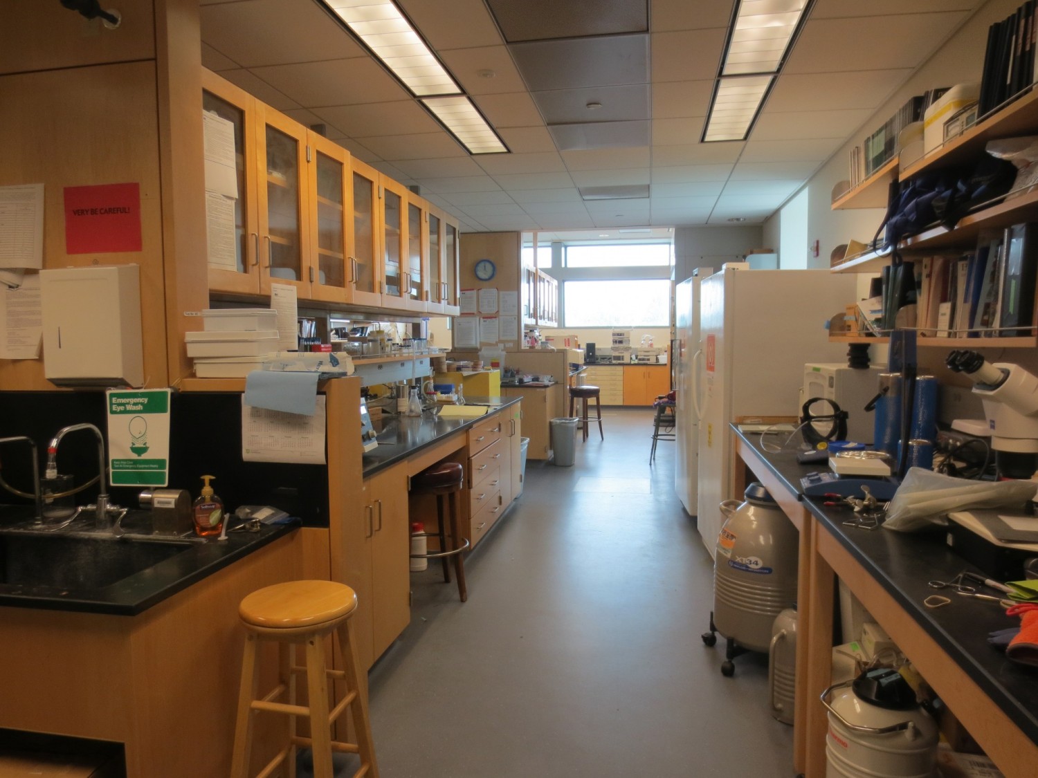 Home - The Louie Lab